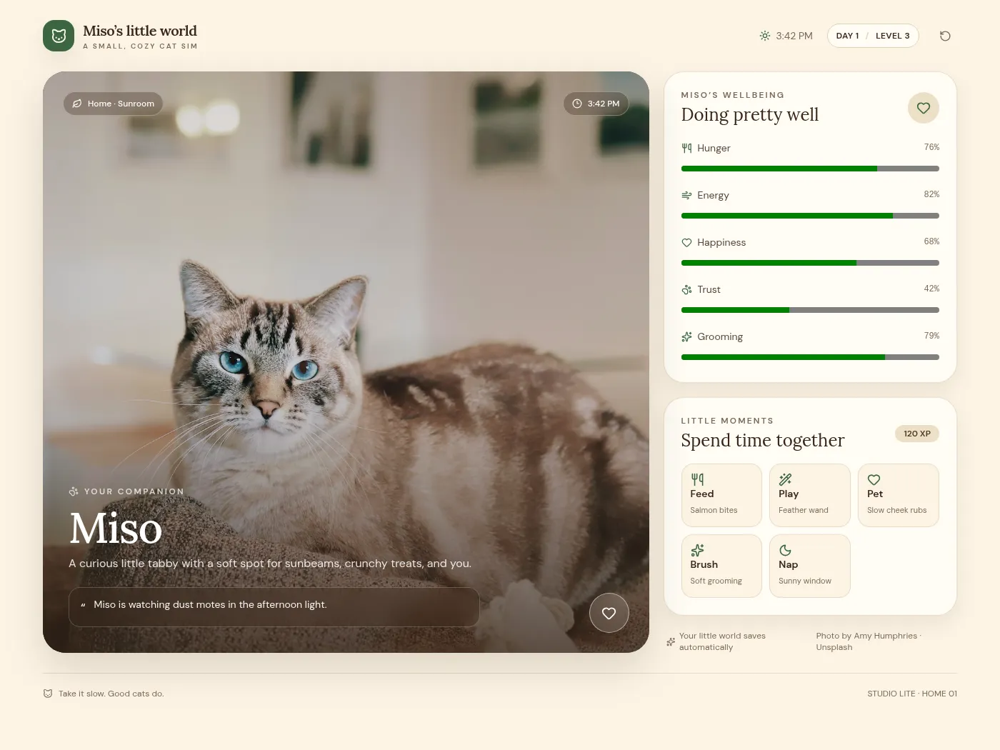 Studio Lite Cat Sim