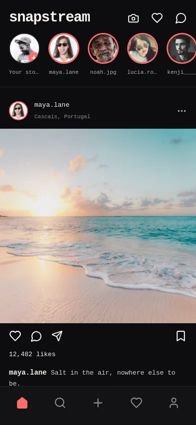 SnapStream