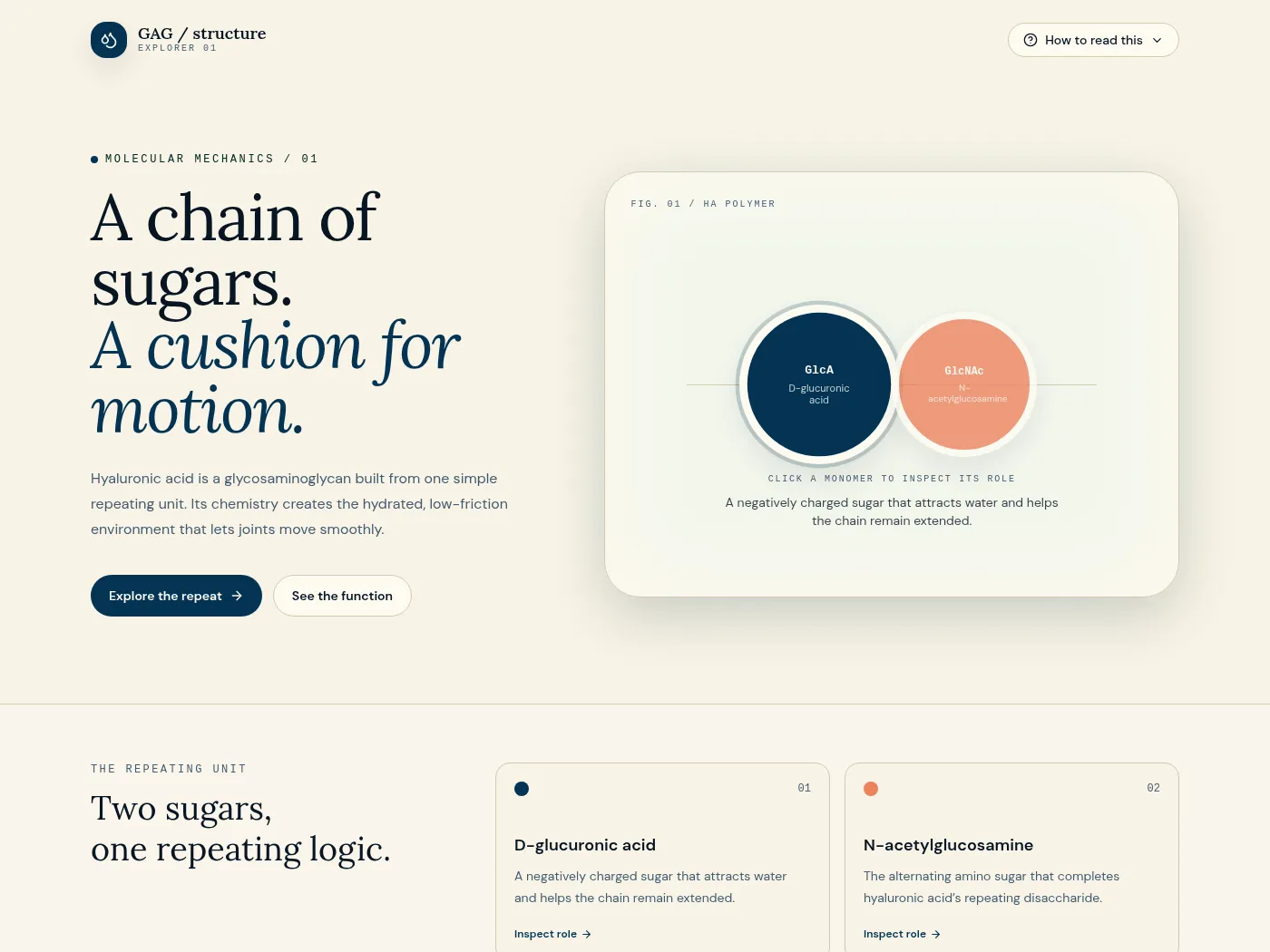 GAG Structure Explorer