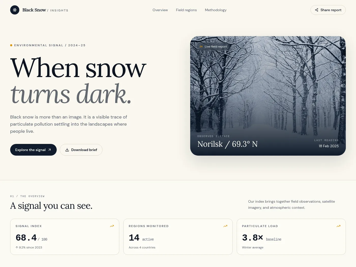 Black Snow Insights