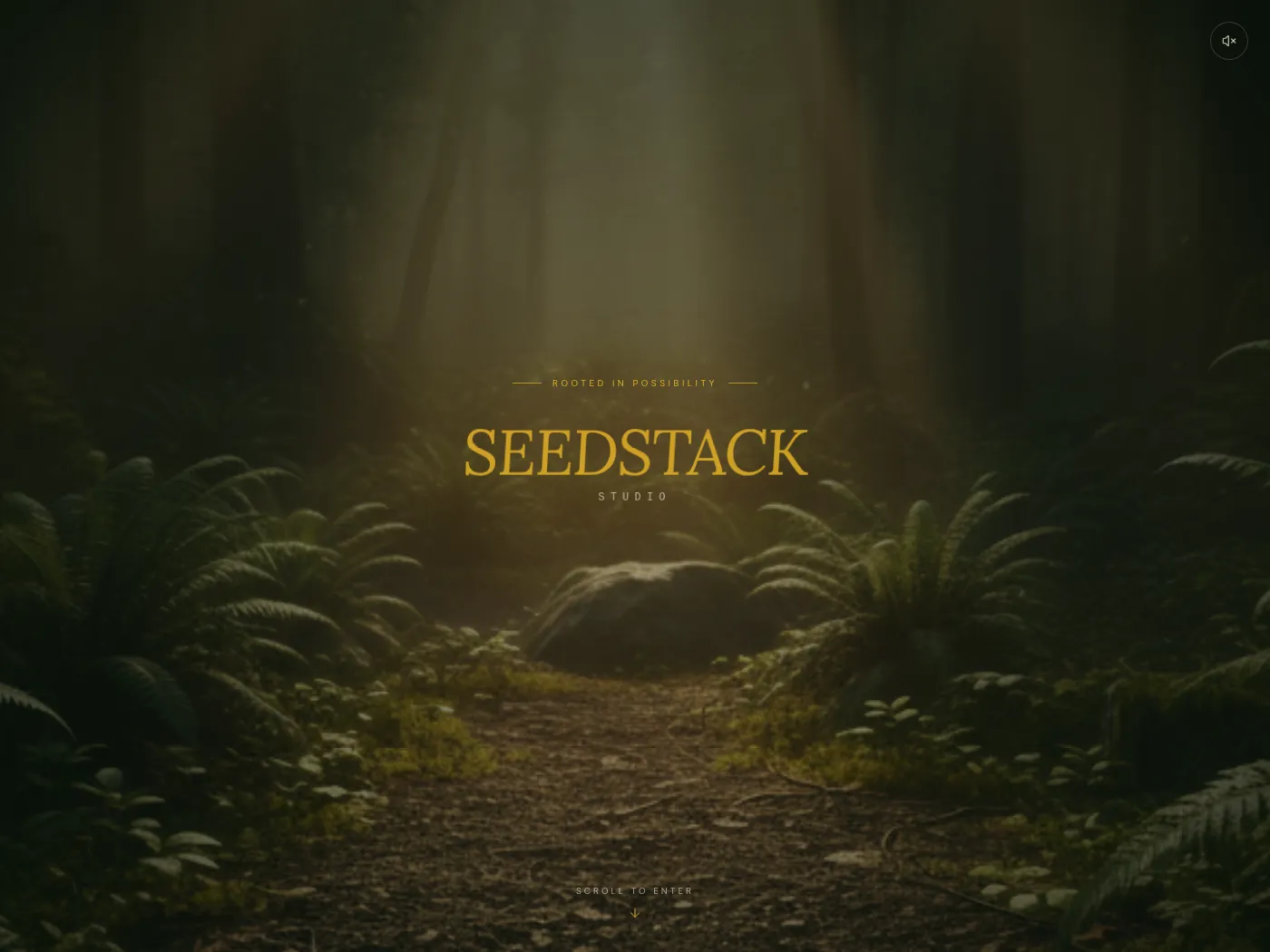 Seedstack Studio Timelapse Intro