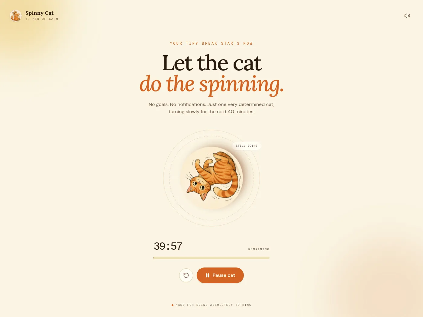 Spinny Cat App