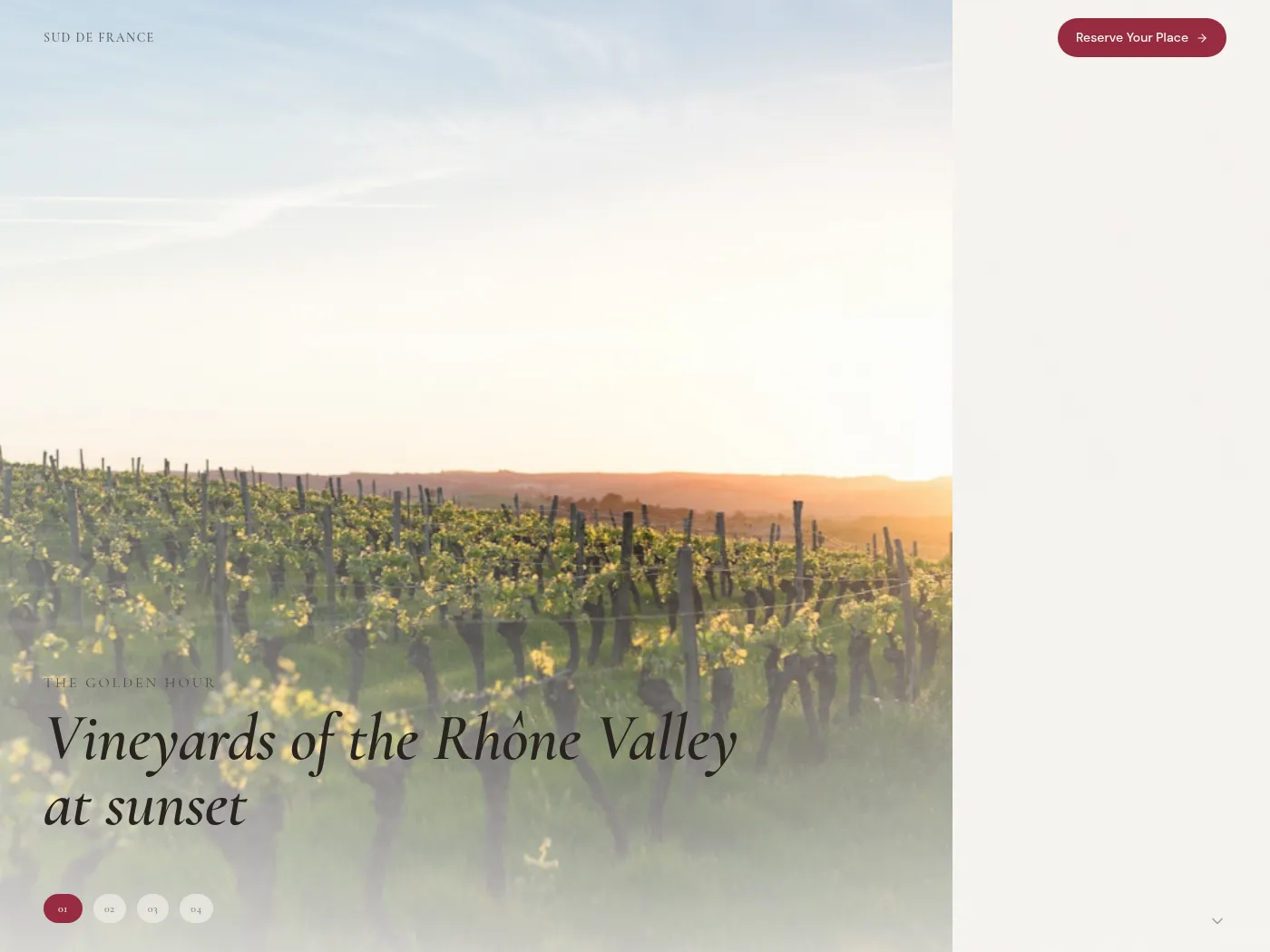 Wine Lovers Tour France