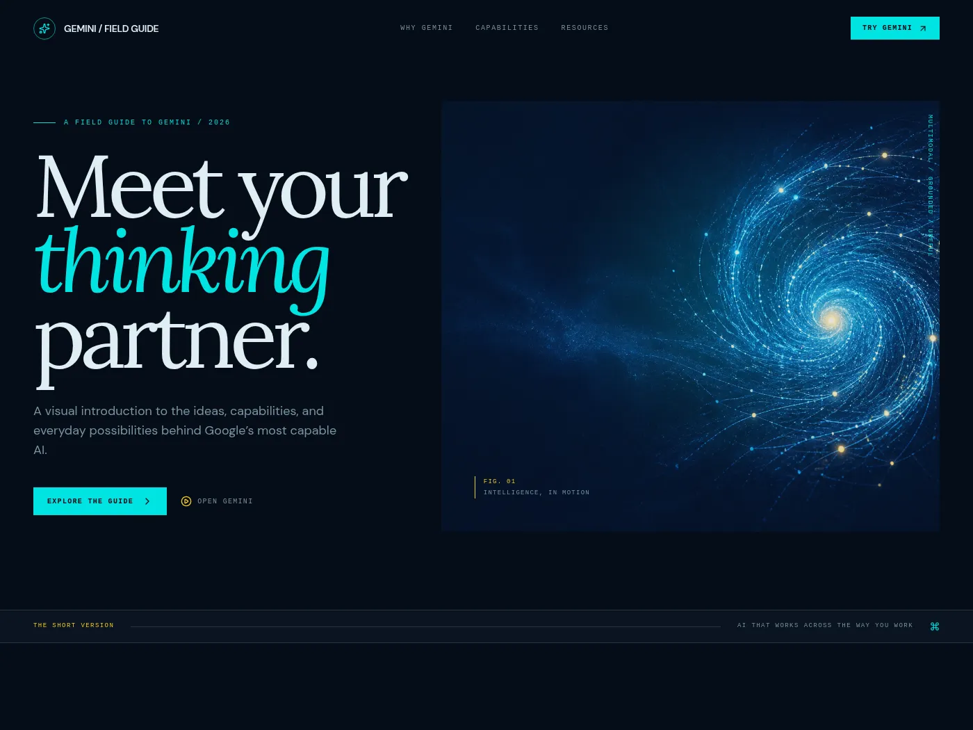 Gemini Info Page