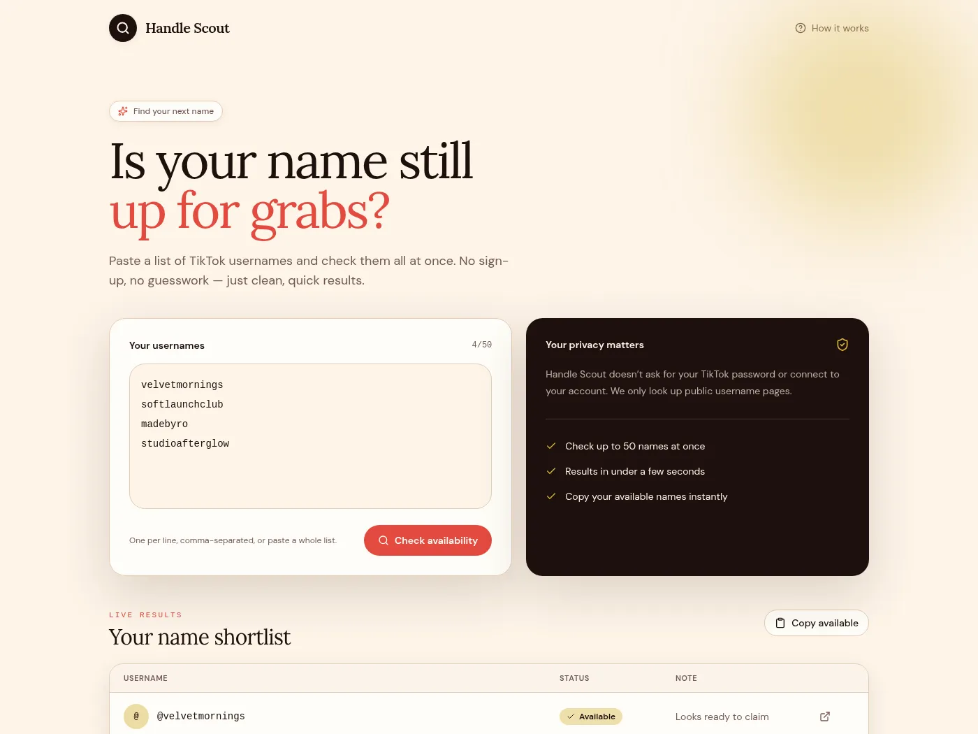 TikTok Username Checker