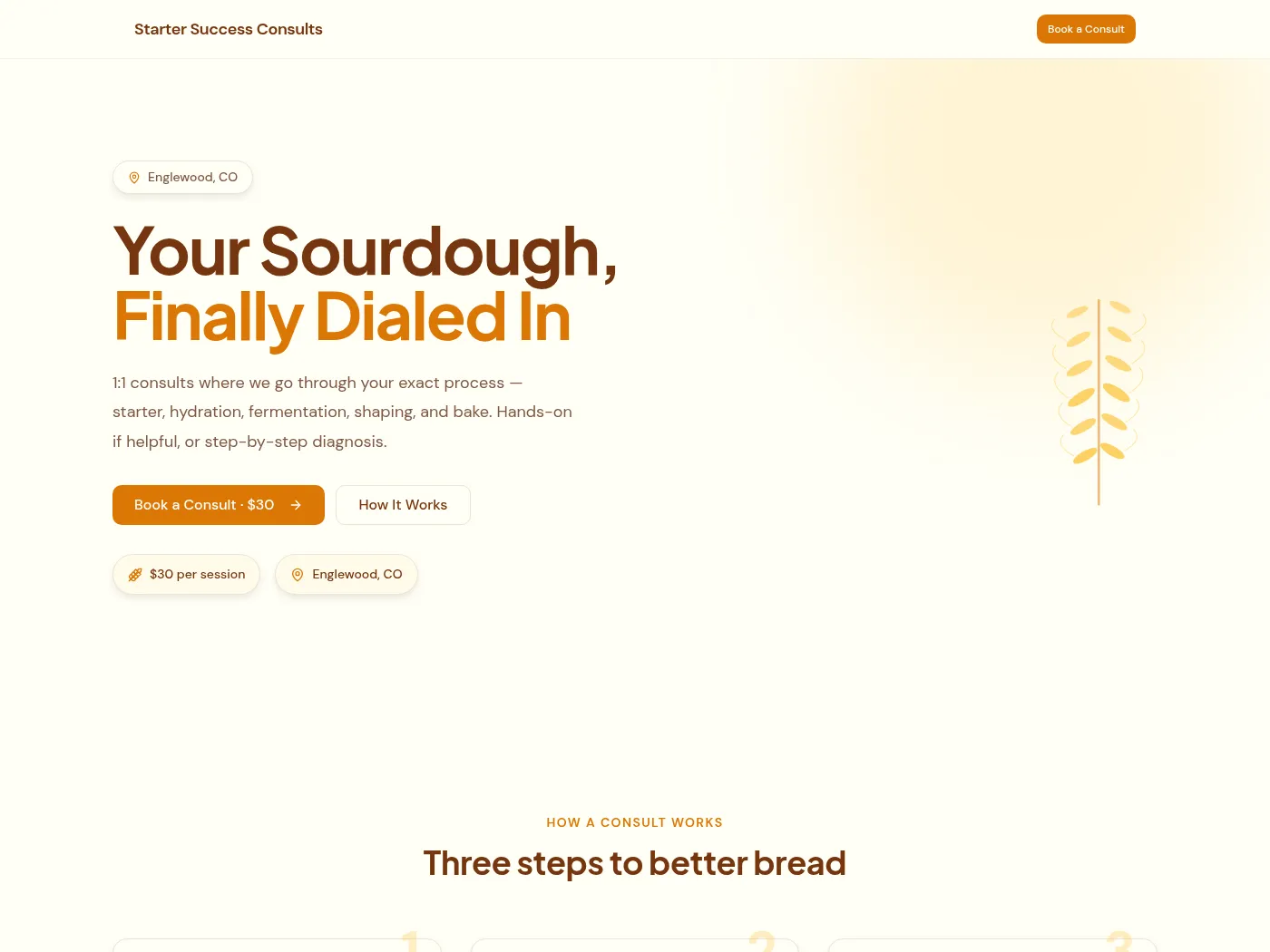 Starter Success Consults