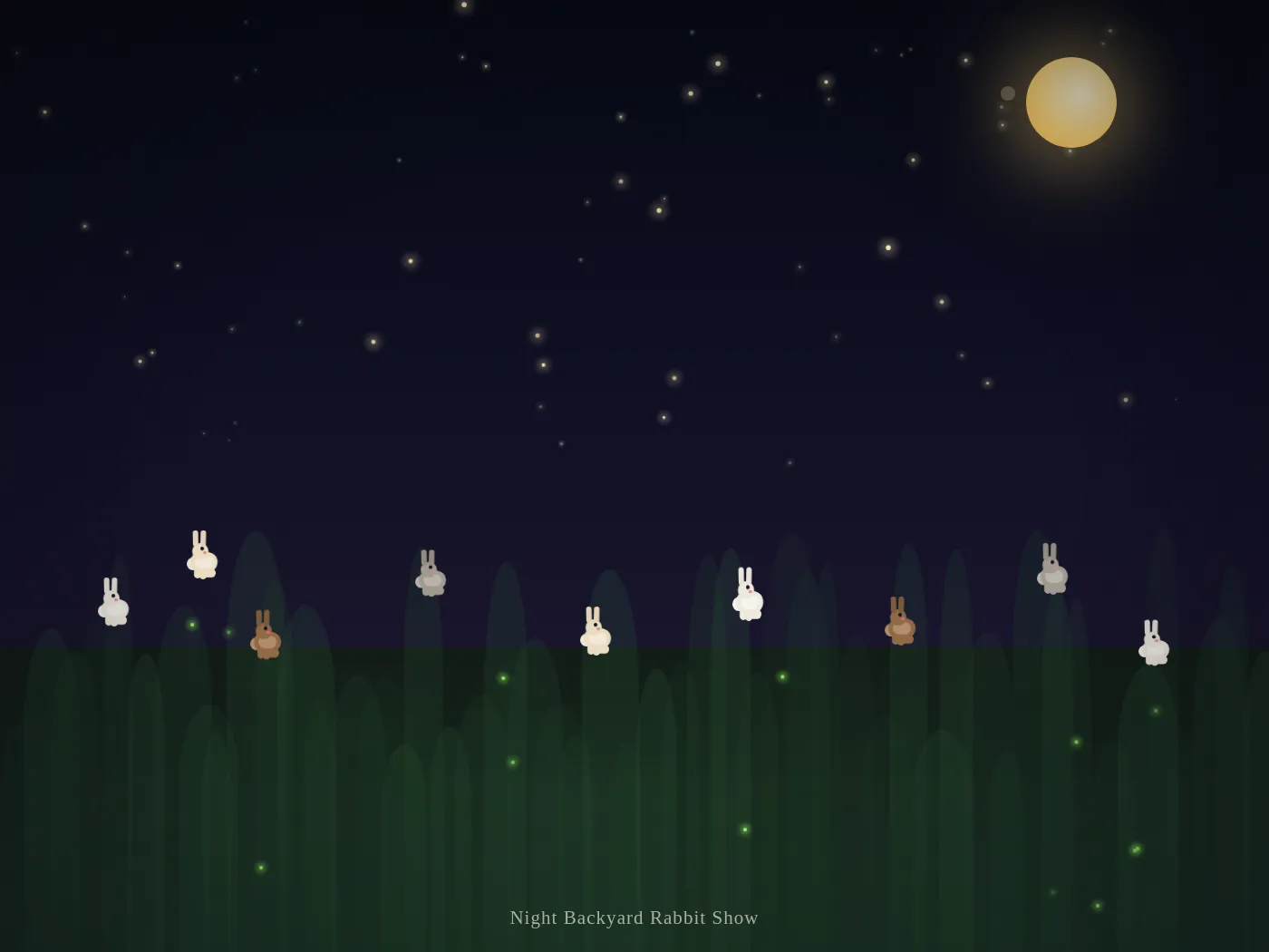 Night Backyard Rabbit Show