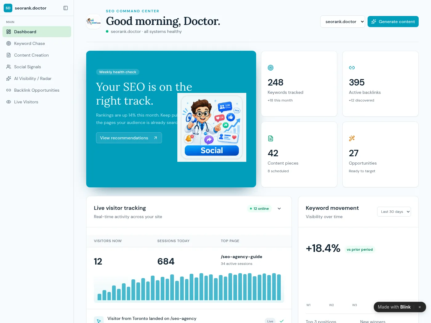 SEORank Doctor