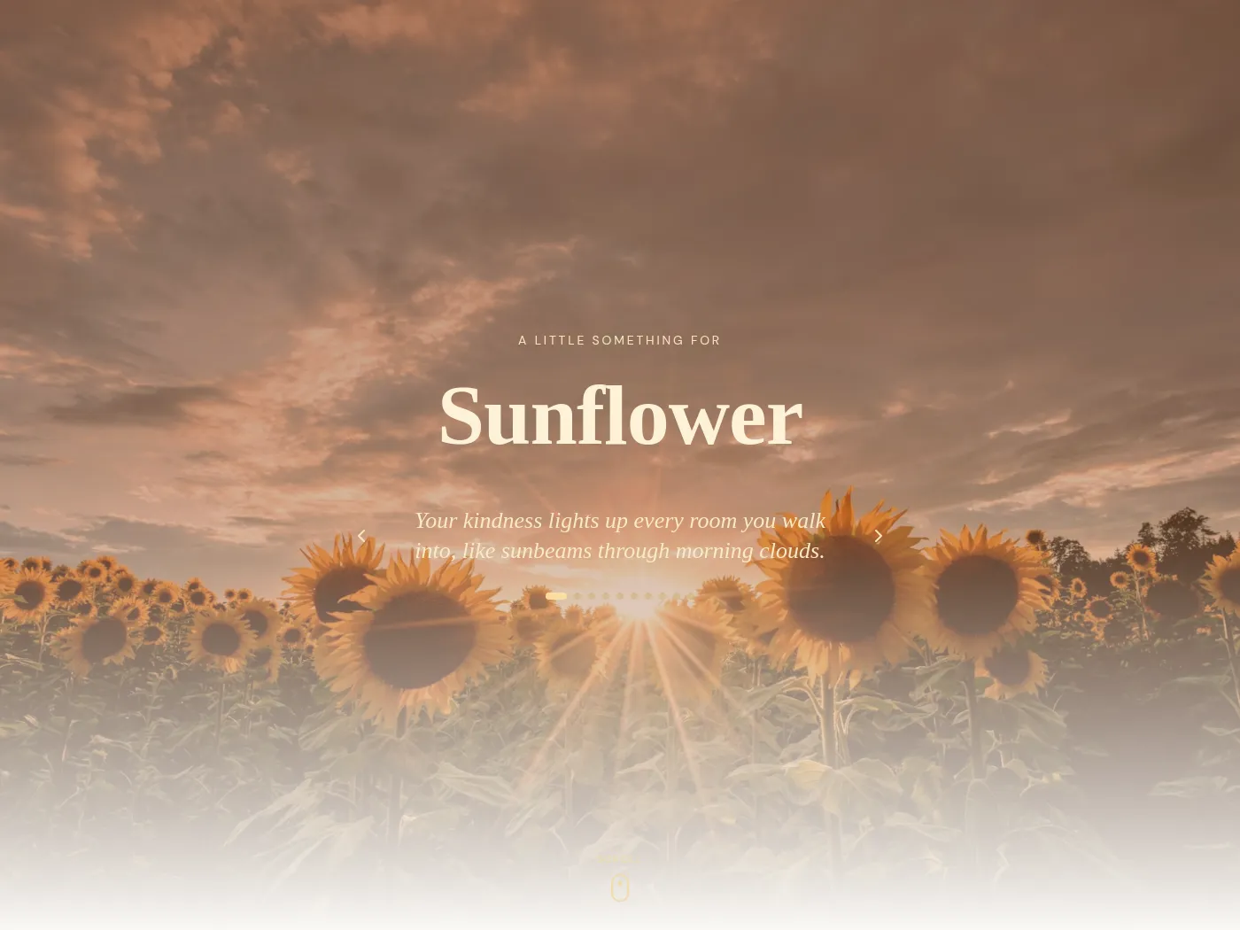 Sunflower Interactive Web App