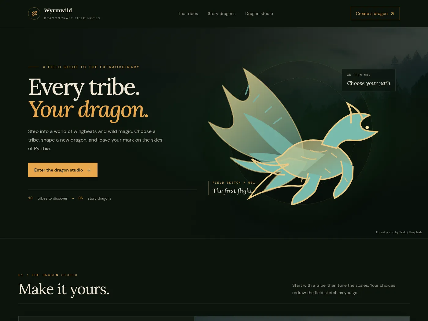 Wings of Fire: Dragoncraft