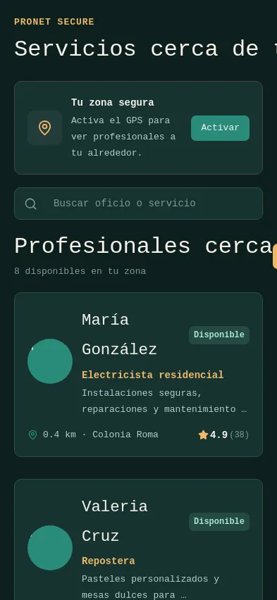 ProNet Secure
