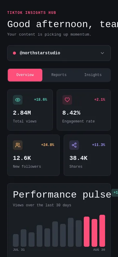 TikTok Insights Hub