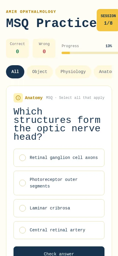 Amir Ophthalmology MSQ App