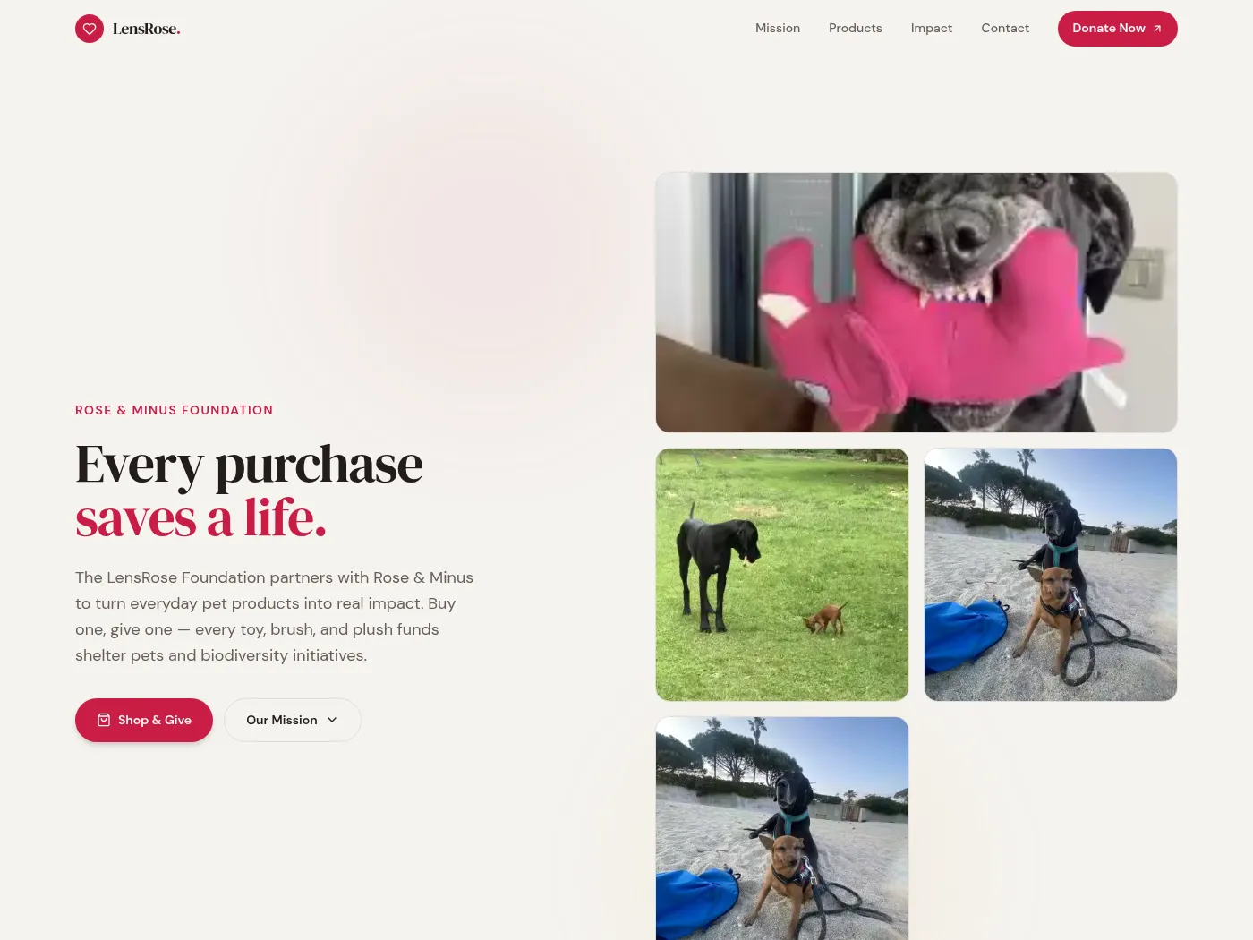 LensRose Foundation Site