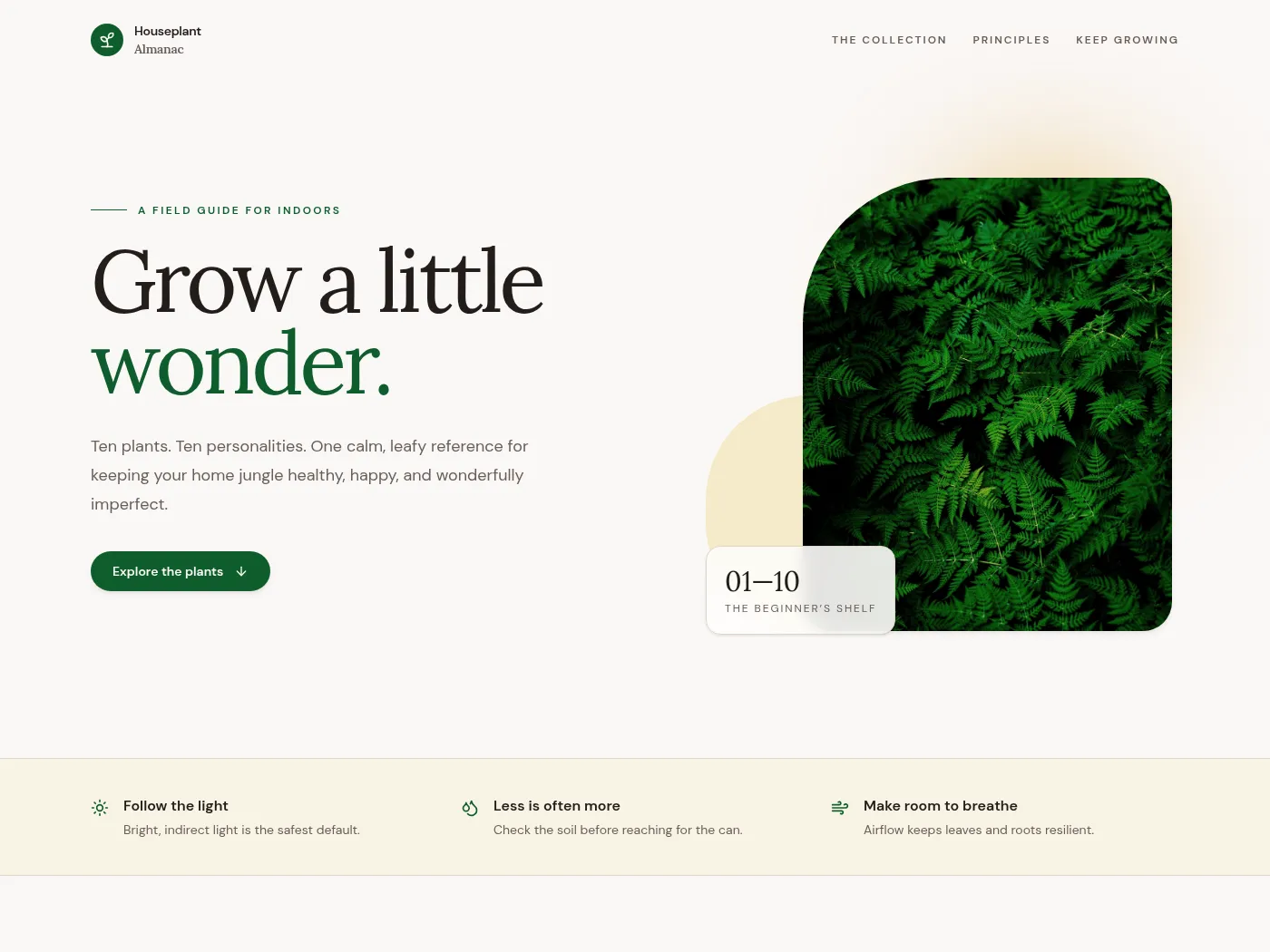 Plant Care Guide