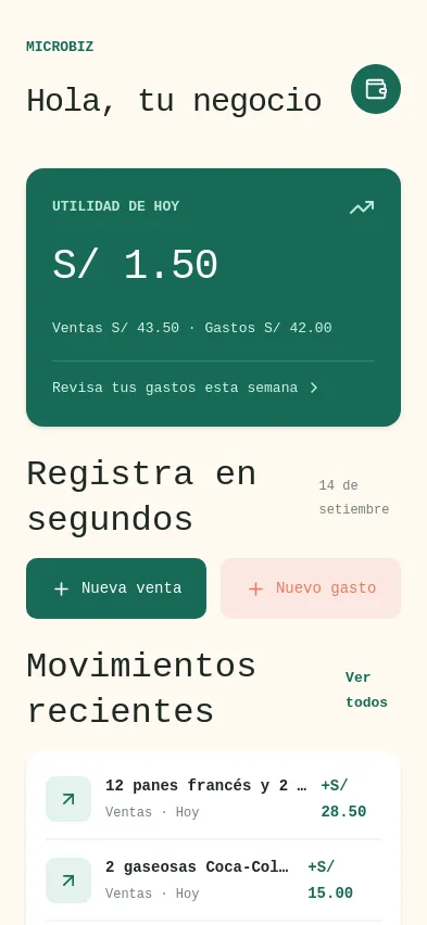 MicroBiz Finance App
