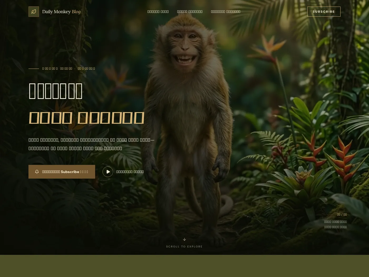 Daily Monkey Blog Site