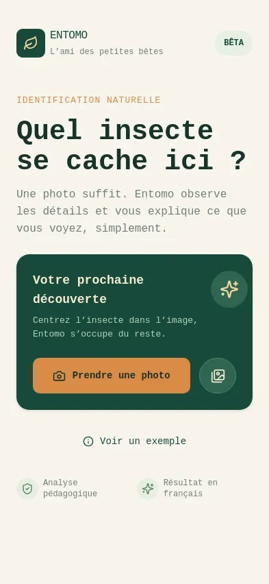 Insecte Photo ID
