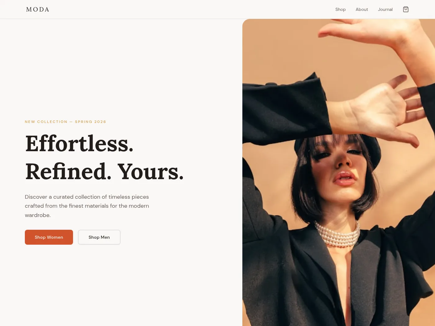 BizLaunch Website