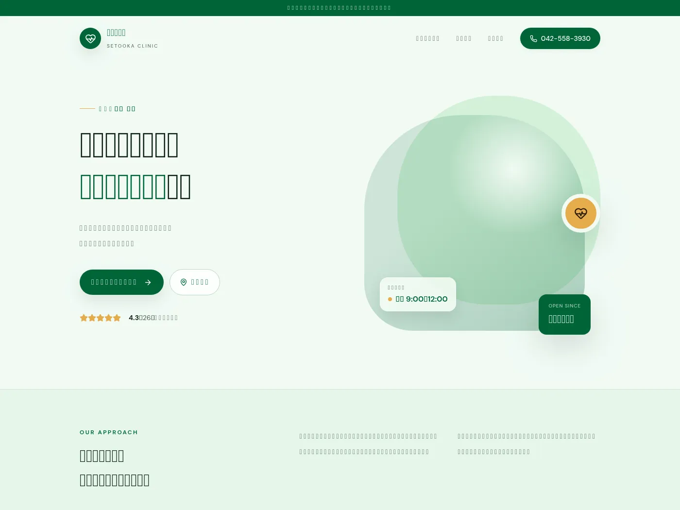 Setooka Clinic Website