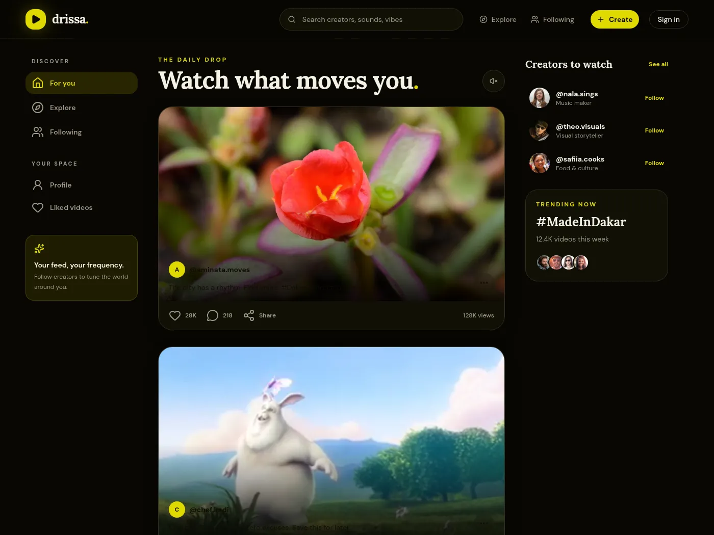 Drissa Video Social App