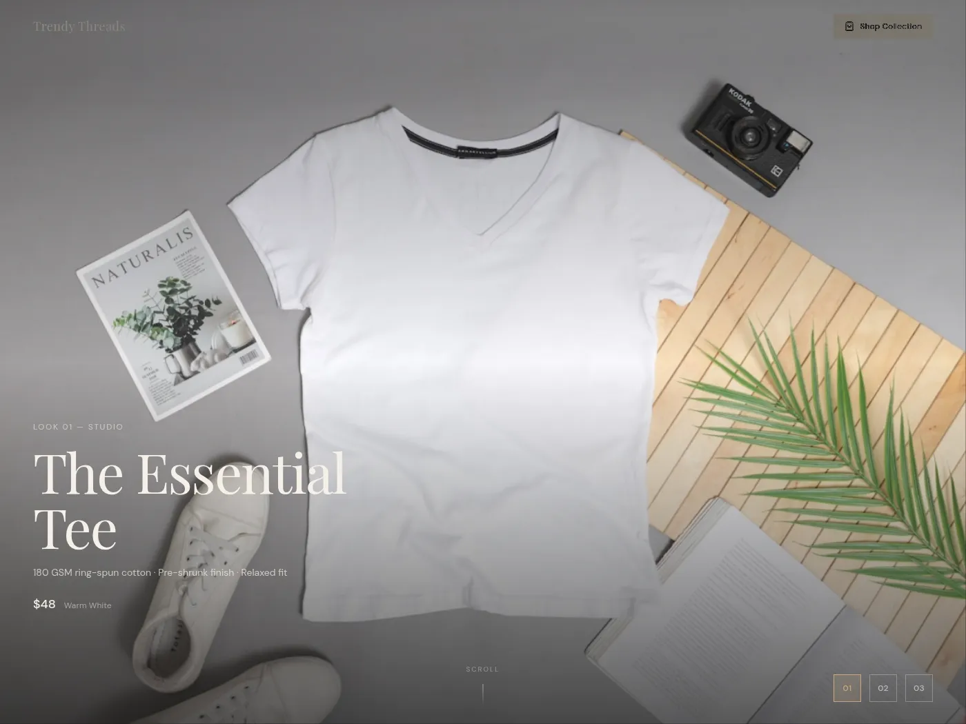 Trendy Threads Site