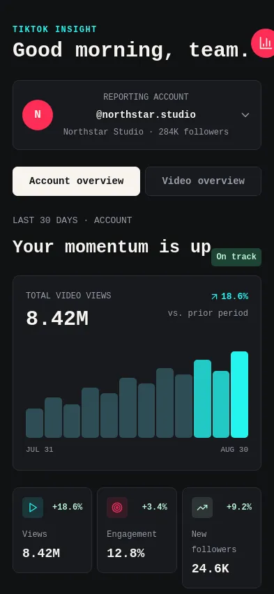 TikTok Insight Automator