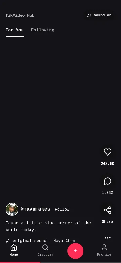 TikVideo Hub