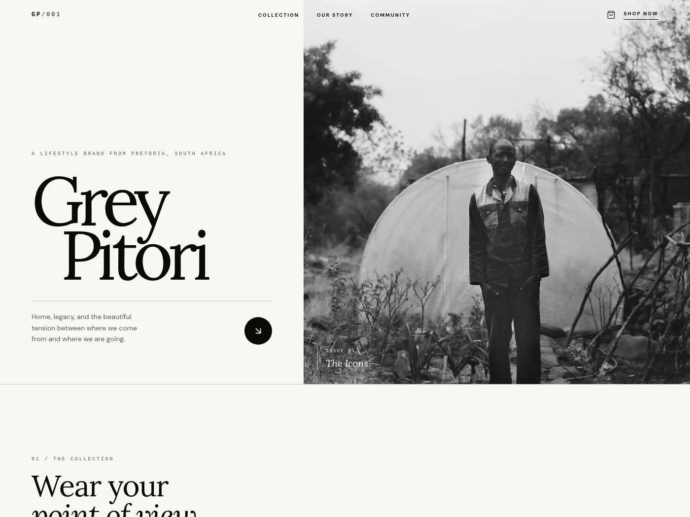 Grey Pitori Web Launch