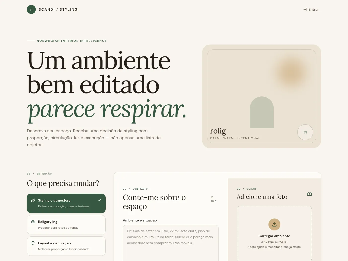 Scandi Design Stylist Pro