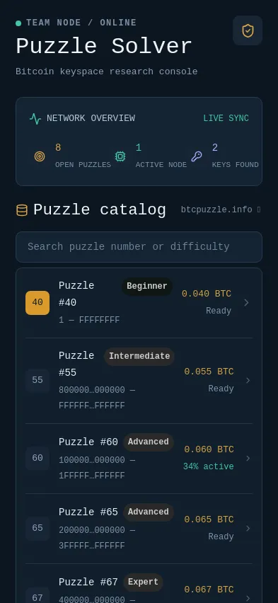 Bitcoin Puzzle Solver