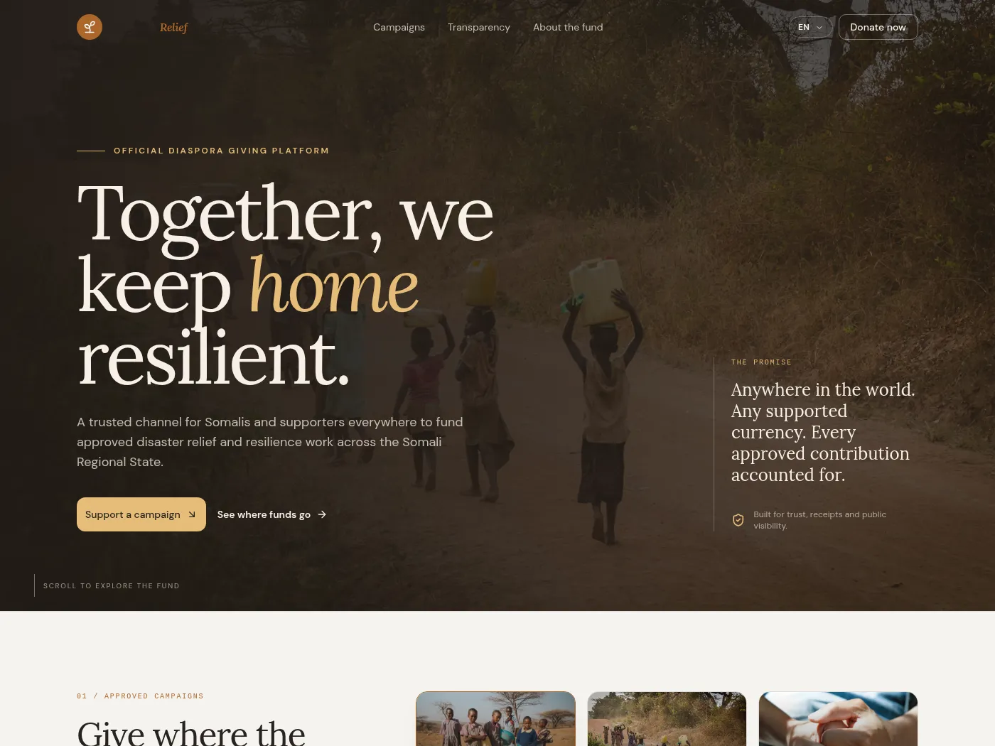 Diaspora Relief Hub