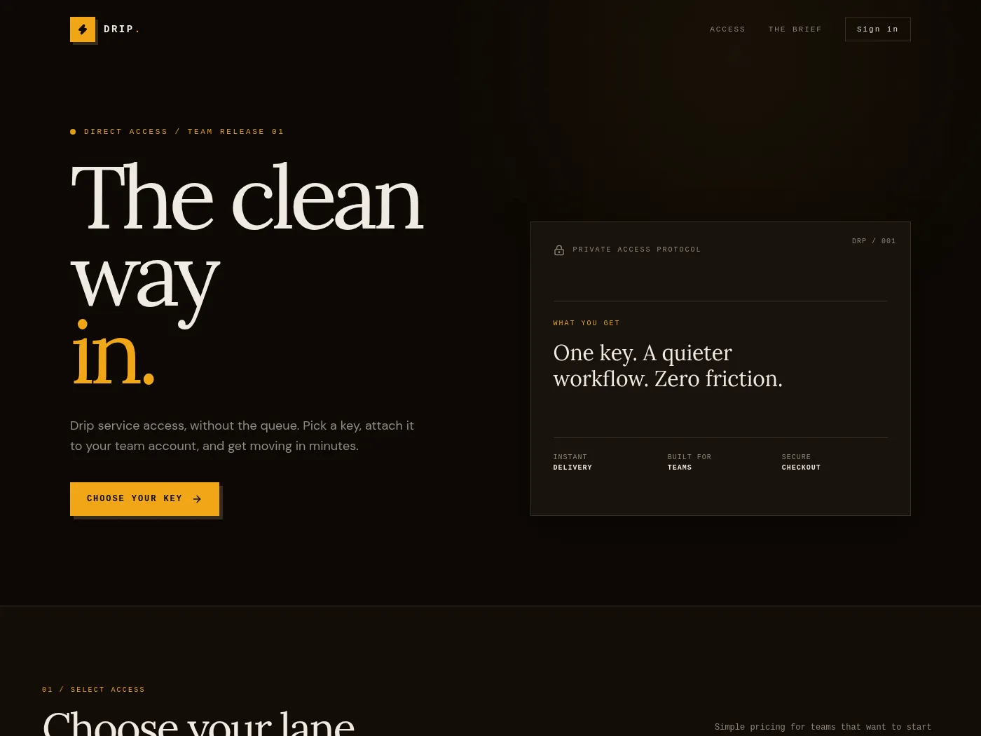 Drip Service Sales Page