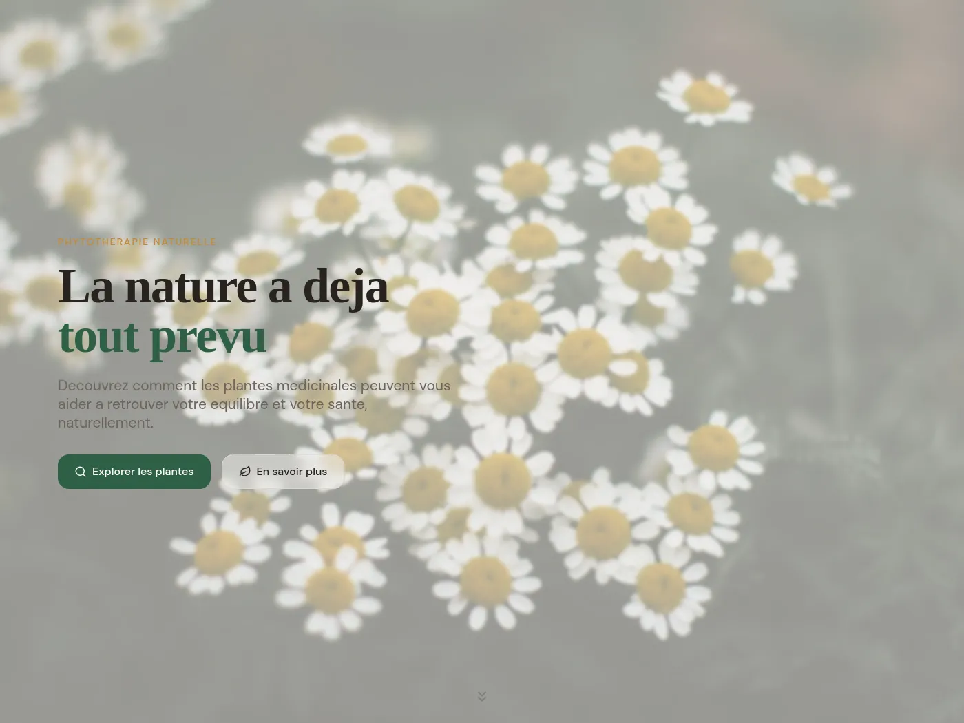 Green Heal Website