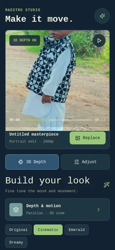 3D Video Maestro