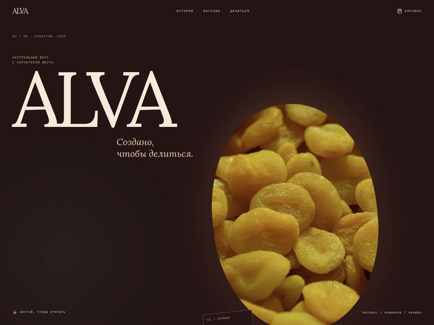ALVA Interactive Brand Experience