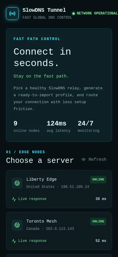 SlowDNS Hub
