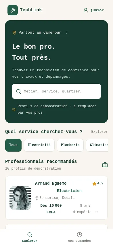 TechLink Cameroun