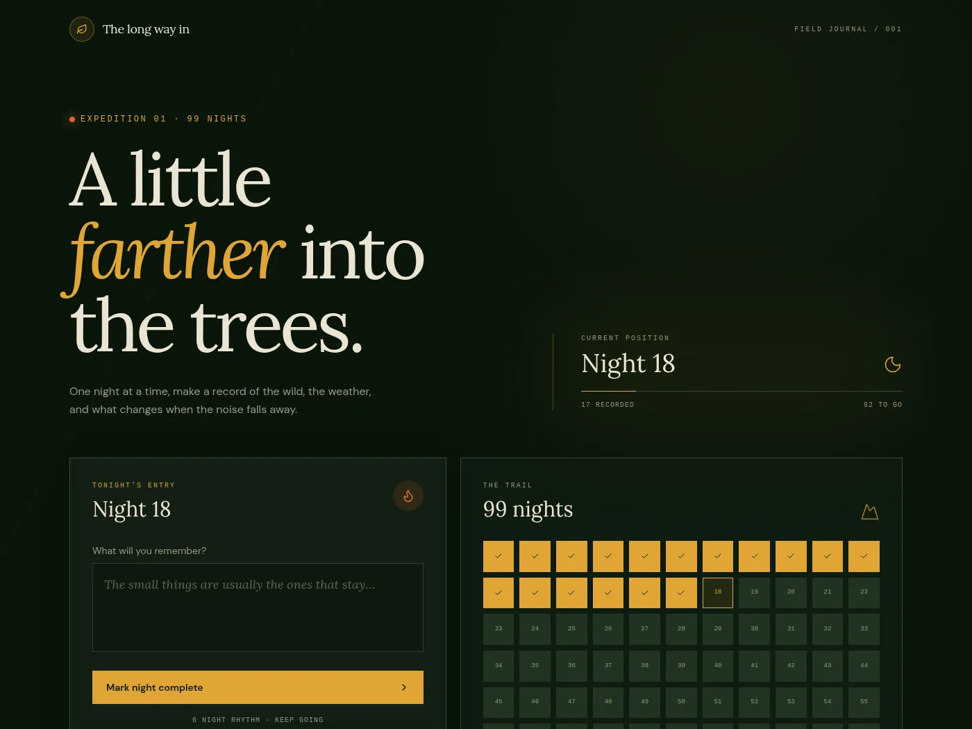 99 Nights in the Forest