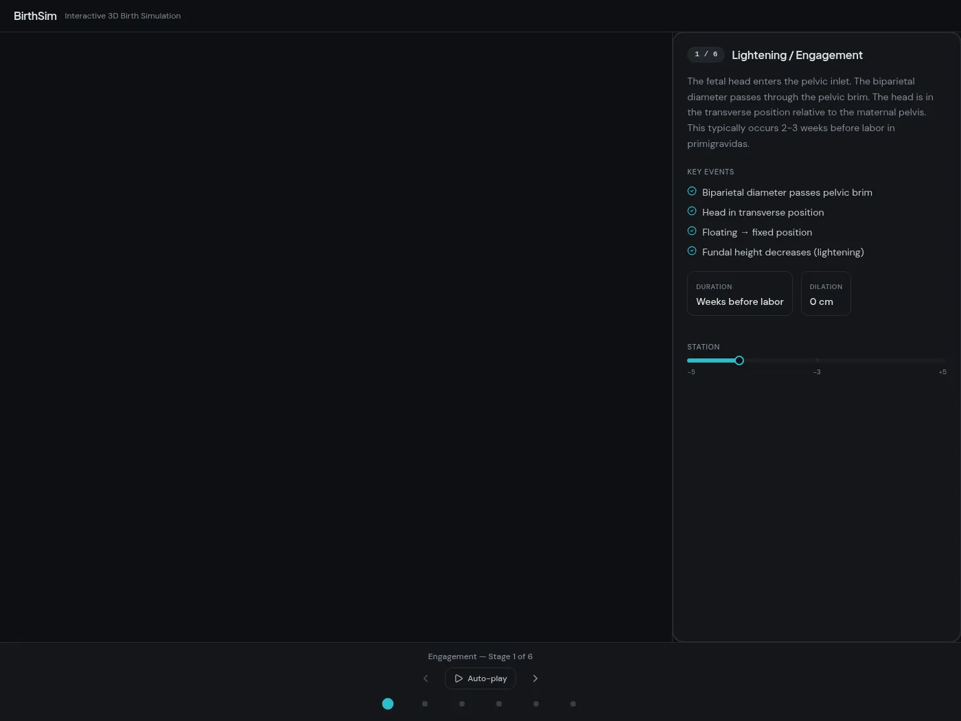 BirthSim Tool