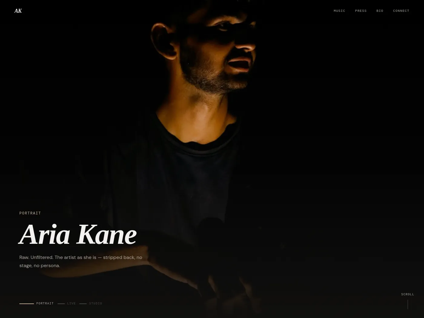 Musician Portfolio Hub