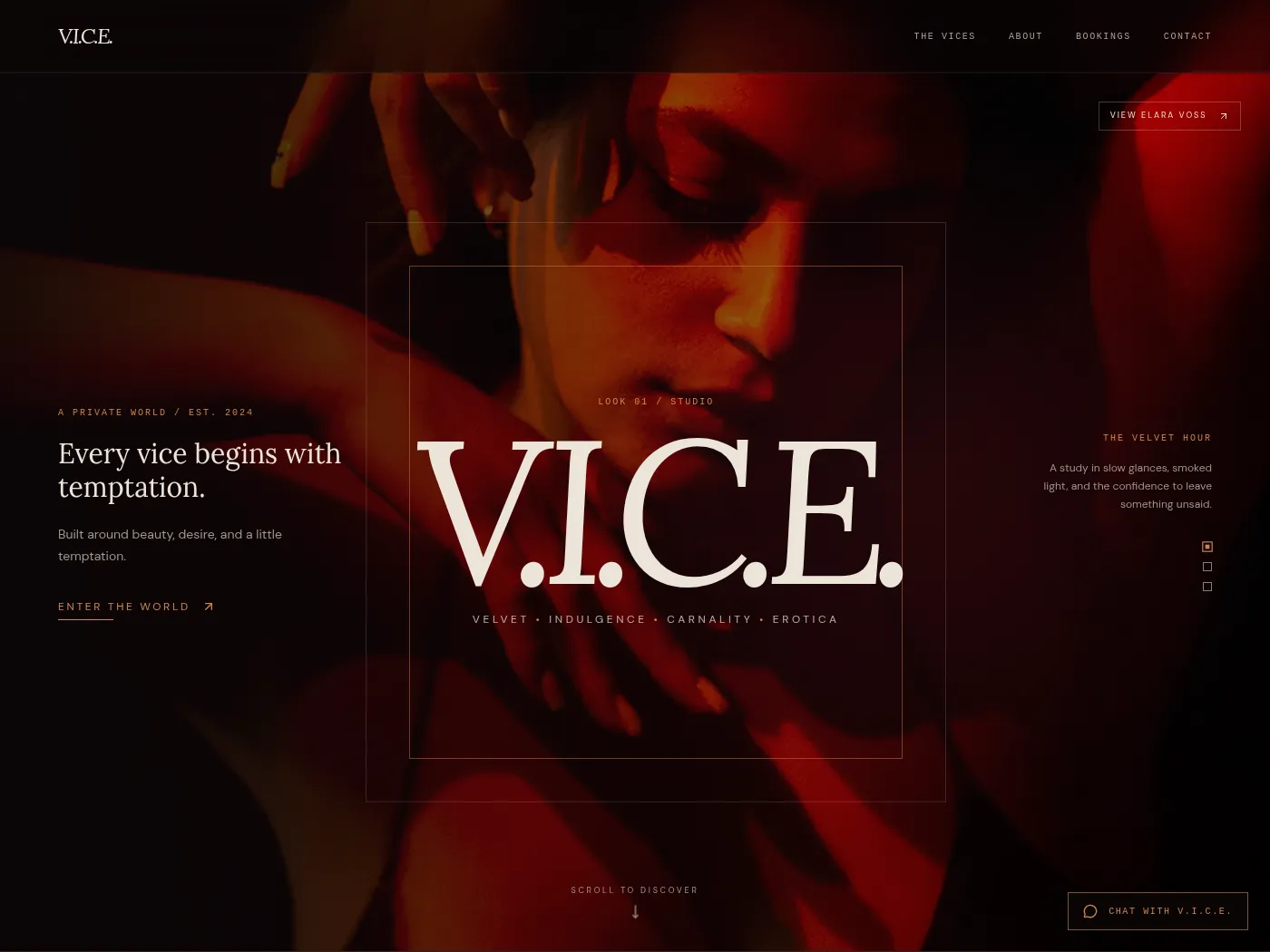 V.I.C.E. Website