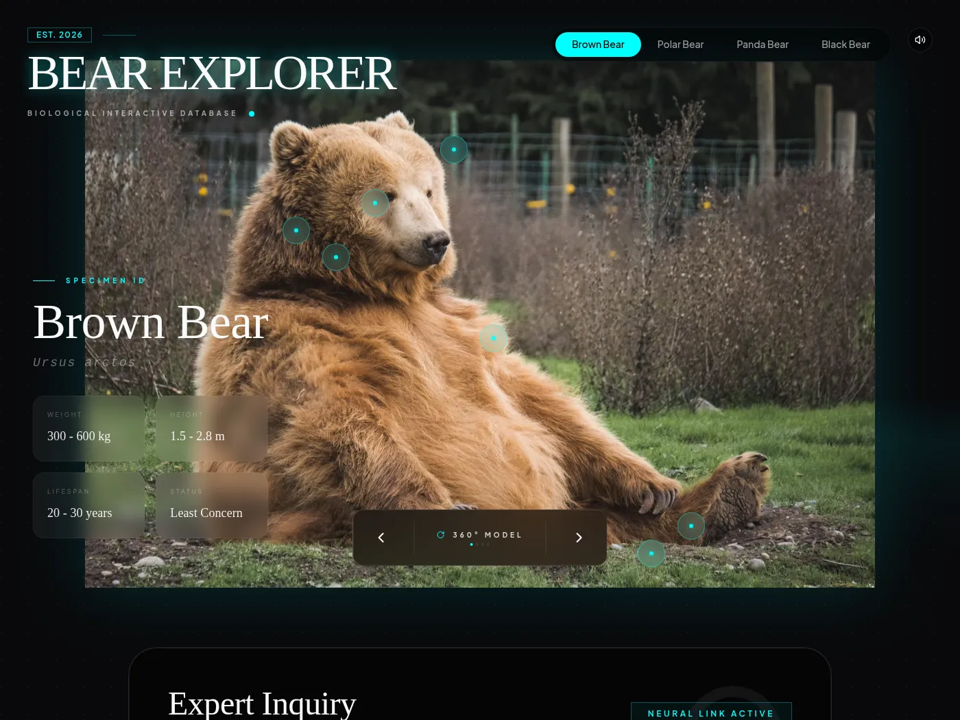 Bear Explorer