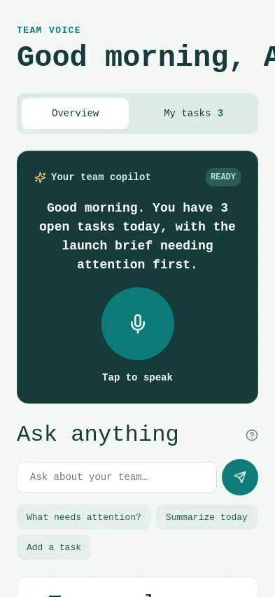 Team Voice Assistant