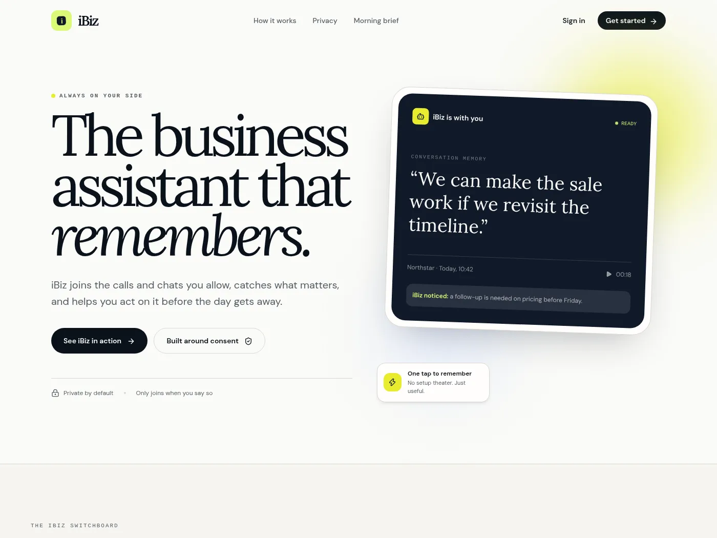 iBiz AI Assistant