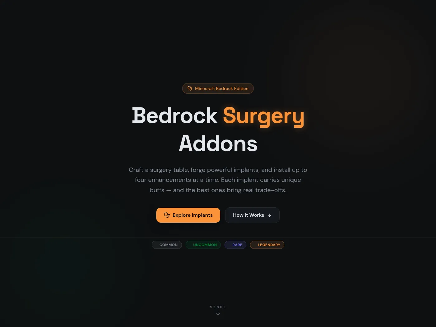 Bedrock Surgery Addons