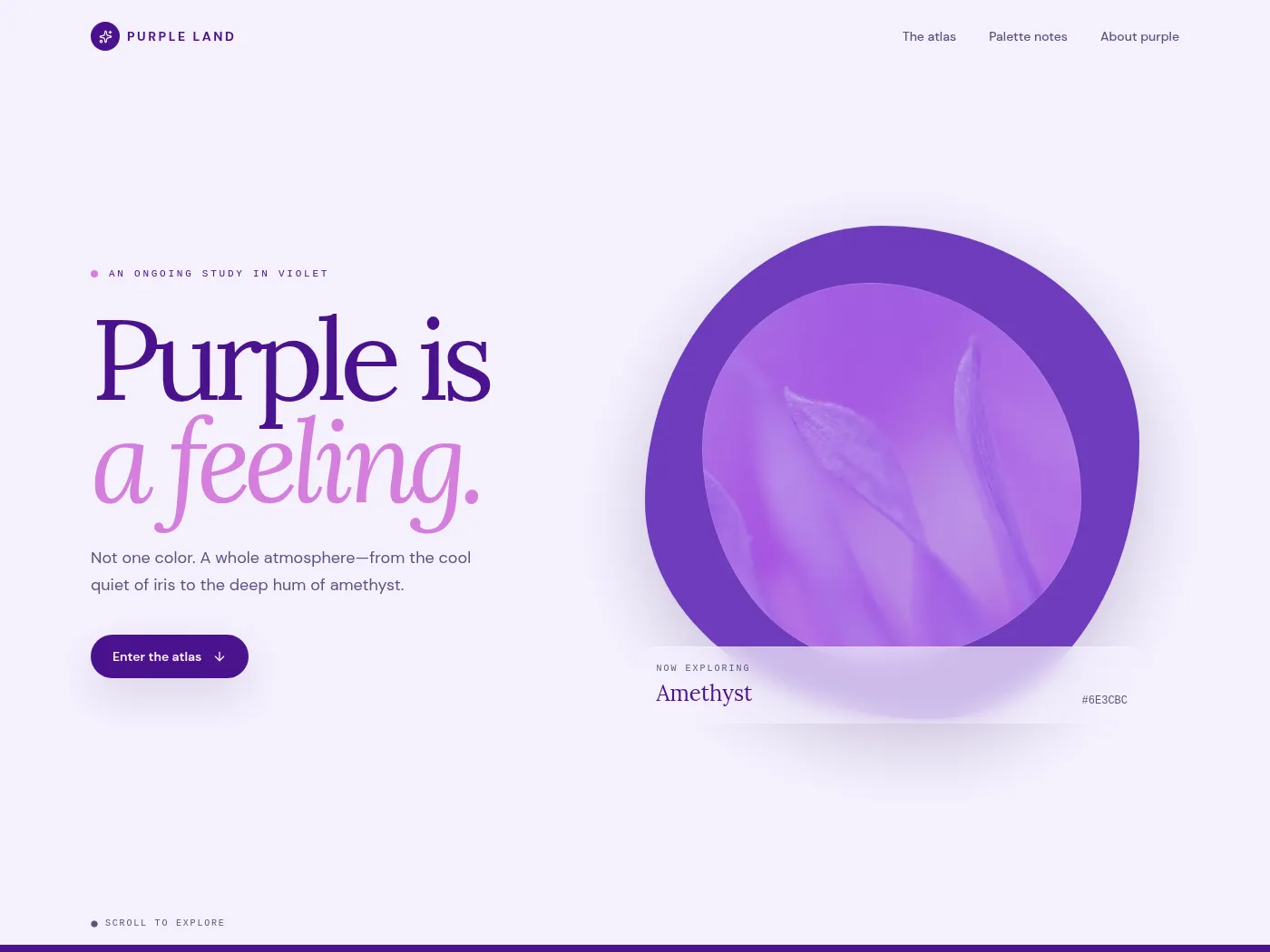 Purple Land
