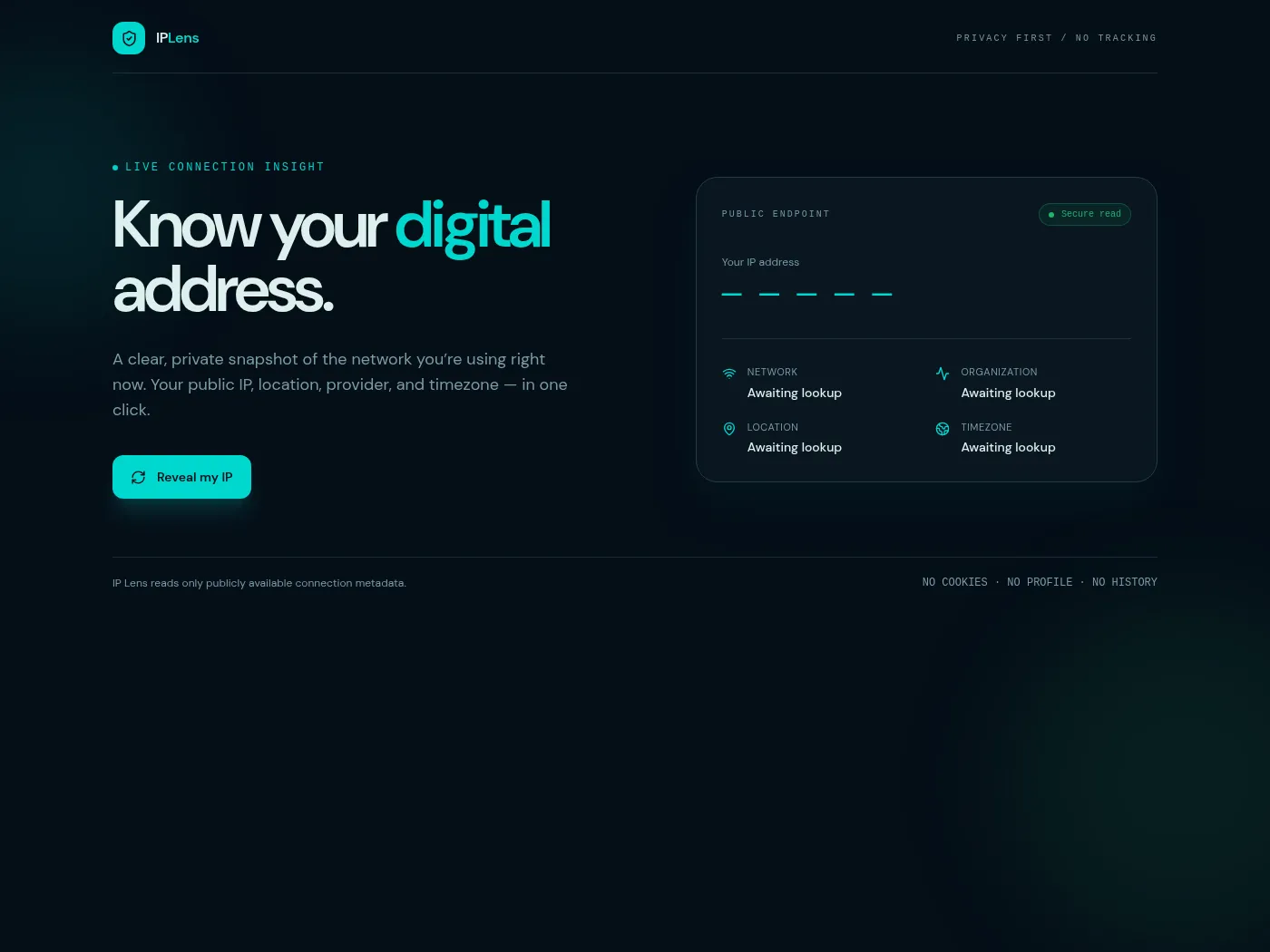 User IP Info Dashboard