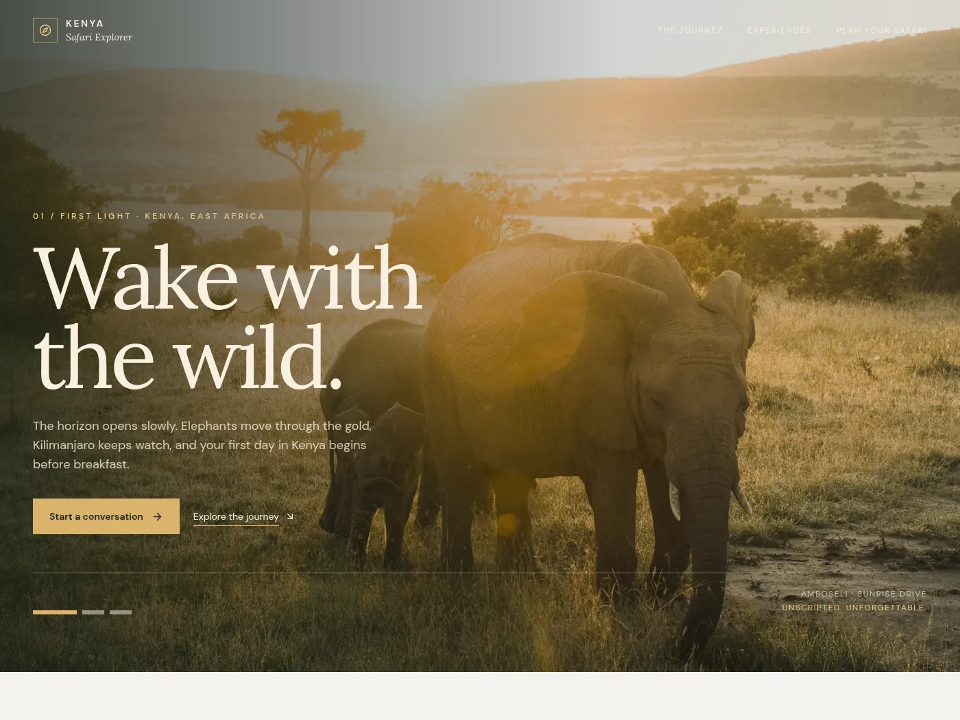 Kenya Safari Explorer