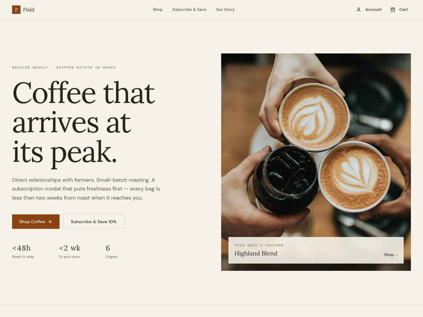 Field Coffee Store